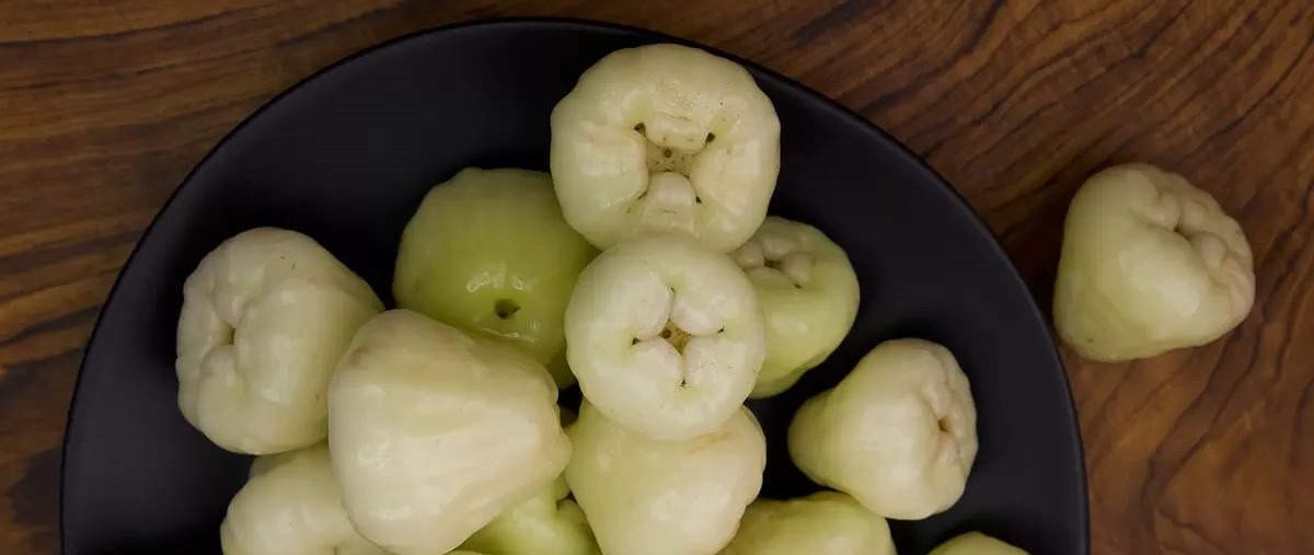 White Jamun: The Wonderful Water Apple – Nature Cure & Yoga Center